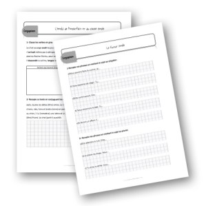 Conjugaison – les exercices – La classe de Mallory