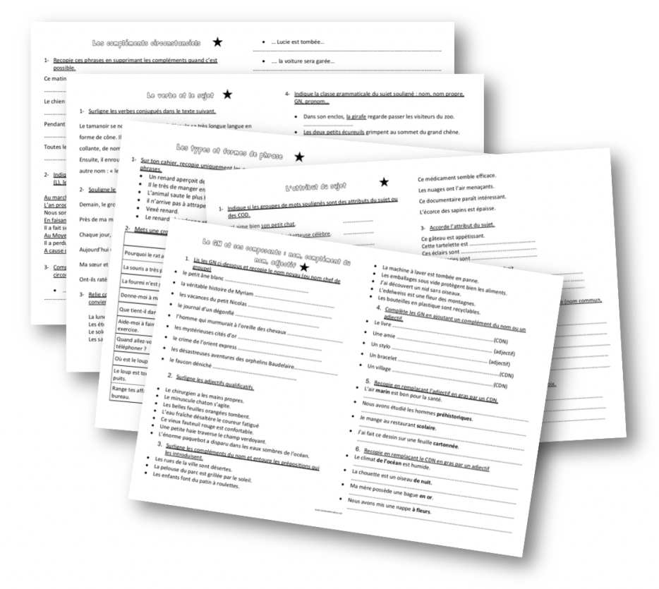 Phrases complexes – La classe de Mallory