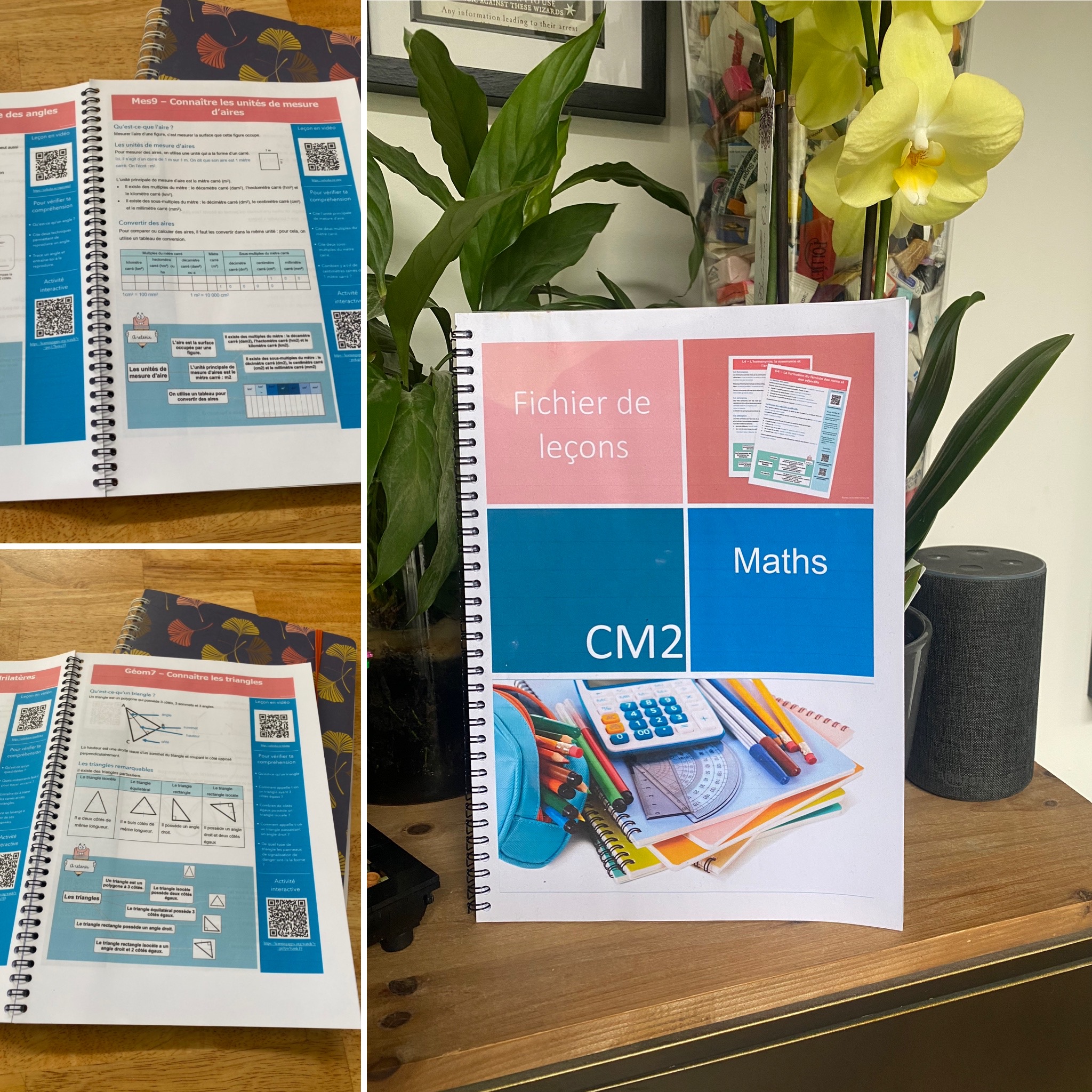 Fichier de leçons de maths CM2 – Nouvelle édition – La classe de Mallory